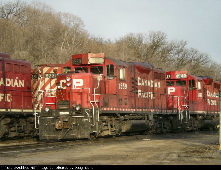 CP 1559